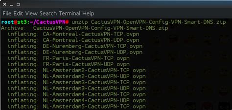How To Set Up Openvpn On Ubuntu From Command Line Vpn Setup