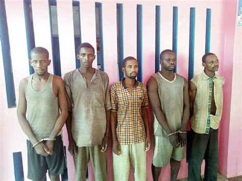 Adamawa Police Arrest 14 Notorious Kidnappers Recover 19 Phones 22