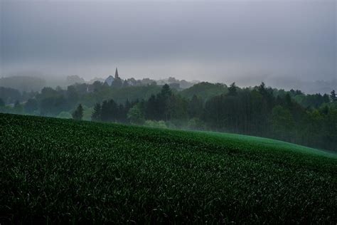 Wallpaper Grass Trees Fog Houses Landscape Hd Widescreen High