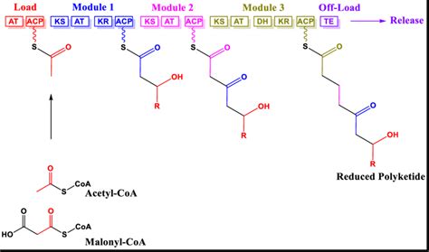 Pkss Type I Non Iterative System [8] Download Scientific Diagram