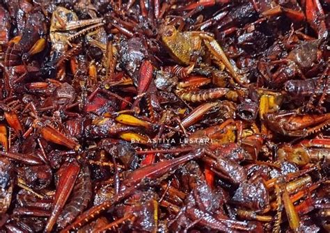 Resep Walang Goreng Belalang Goreng Oleh Astiya Lestari Cookpad