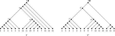 Two Rooted Binary Phylogenetic X Trees And Note That And Download Scientific Diagram