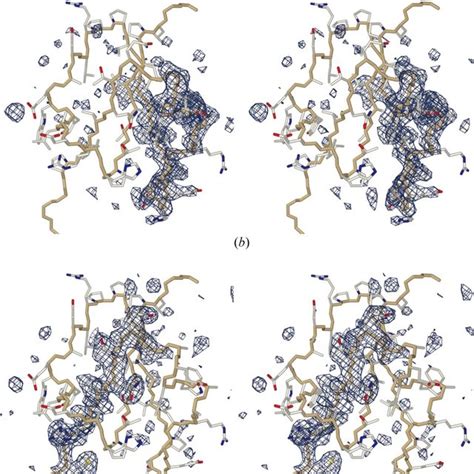 Stereoviews Of Simulated Omit F O À F C Maps Contoured At 25 Download Scientific Diagram