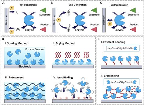 Wearable Electrochemical Sensors For Real Time Monitoring In Diabetes Mellitus And Associated