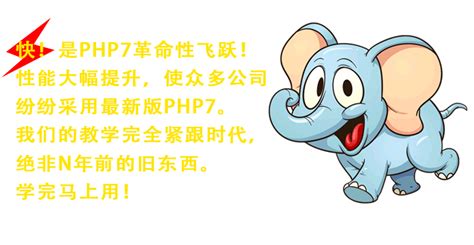 维易php培训学院官网 Php从入门到精通php教程php框架vephp框架vecms教程