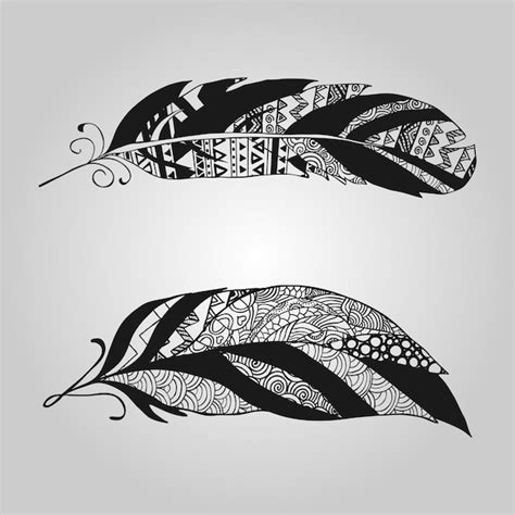 Premium Vector Feathers Vector Set In A Flat Style