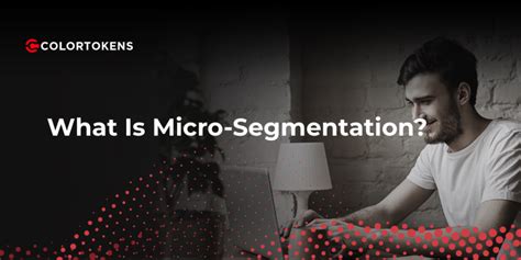 Vijay Saxena On Linkedin What Is Micro Segmentation Colortokens