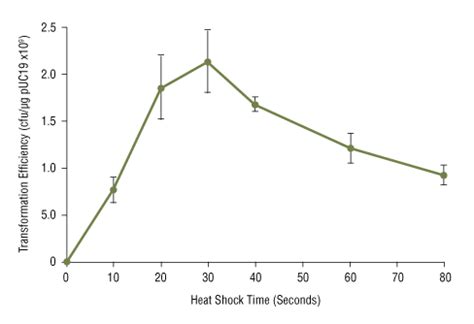 NEB 5 alpha Competent E coli High Efficiency DH5α NEB