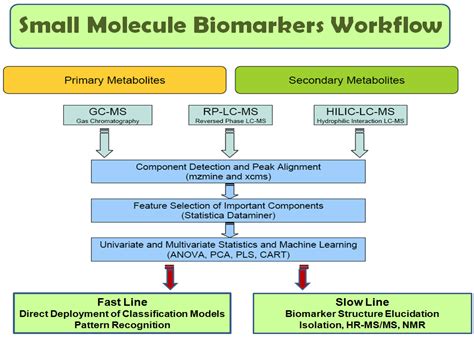Algorithms Free Full Text Pattern Recognition And Pathway Analysis With Genetic Algorithms