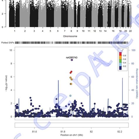 Manhattan Plot Of The Gwas A Results Of The Genome Wide Association Download Scientific
