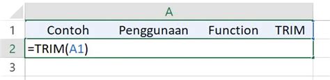 Cara Menggunakan Fungsi Trim Excel Tutorial Excel Lengkap
