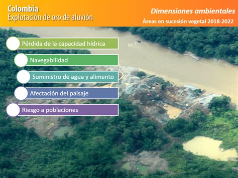 Minería Ilegal Aumentó Un 8 Durante El Año 2022 En Colombia Informe