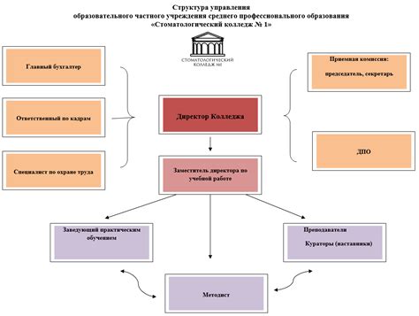 Структура учреждения схема