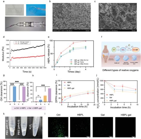 Inflammatory Microenvironment‐responsive Hydrogels Enclosed With Quorum Sensing Inhibitor For