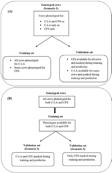 Flow Chart Showing The Scenarios Of Genomic Prediction For Fertility Download Scientific