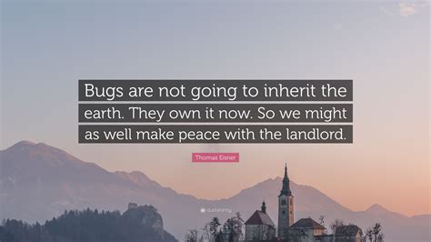 Thomas Eisner Quote Bugs Are Not Going To Inherit The Earth They Own It Now So We Might As