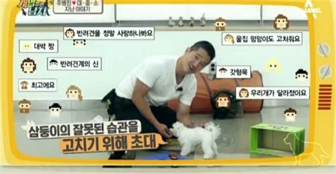 [개밥주는남자] 웰시코기 삼둥이 대중소 식탐고치기 Feat 갓형욱 인스티즈 Instiz 이슈 카테고리
