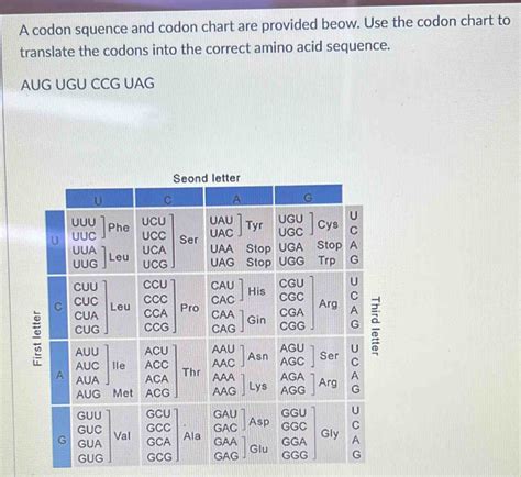 Solved A Codon Squence And Codon Chart Are Provided Beow Use The