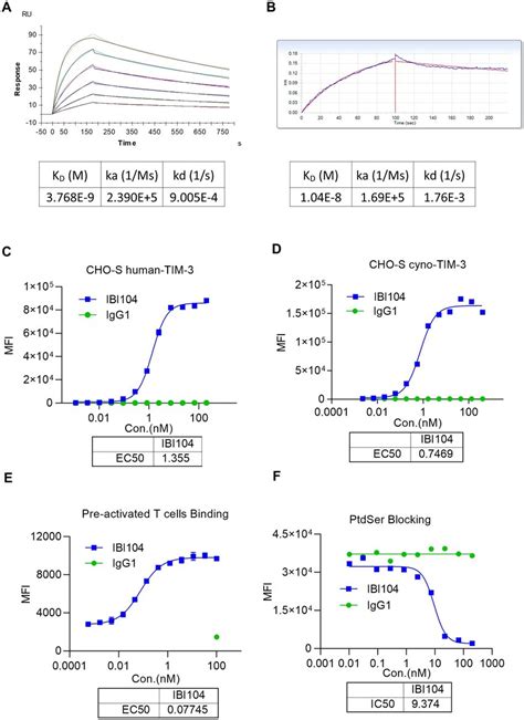 Characterization Of Ibi104 By Antigen Bindingblocking A Binding