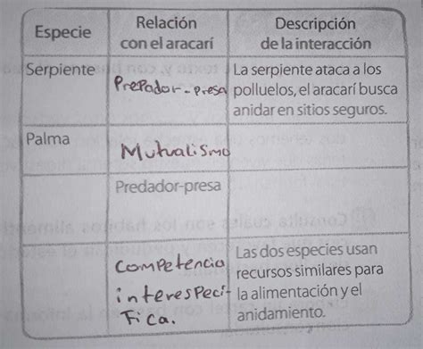 Macroevolucion Mind Map
