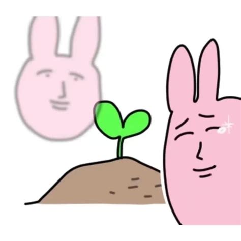 表情包超有趣的粉红小兔表情包贱萌可爱一起用起来吧 哔哩哔哩
