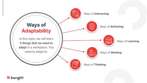 5 Ways Of Adaptability And Resilience