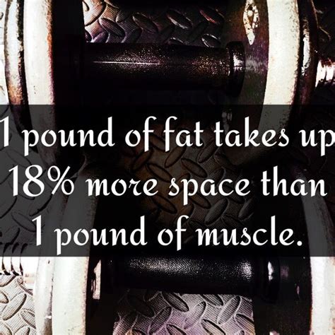 Images About Got To Get My Butt In Gear On Pinterest Weightlifting Workout