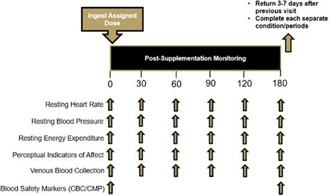 Schematic Overview Of Research Design Download Scientific Diagram