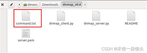 Linux下分布式端口扫描工具dnmap下载安装及使用、流量抓取（更新ing） Csdn博客