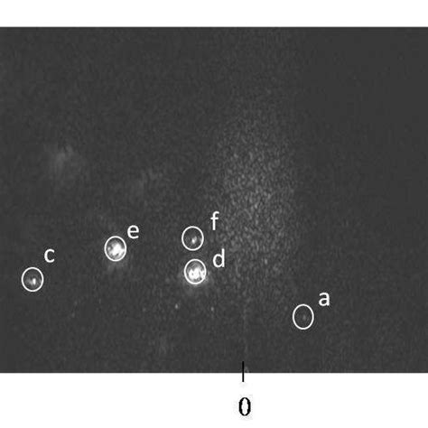 Spectrum From The 2d Fourier Transform Of An Hg Interferogram Each Download Scientific Diagram