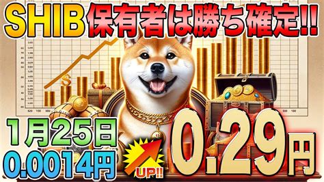 【シバコイン】517億円分のシバコインを保有！価格高騰に向けて投資家たちが動いているワケとは！【シバイヌ】【ドージ】【イーロンマスク