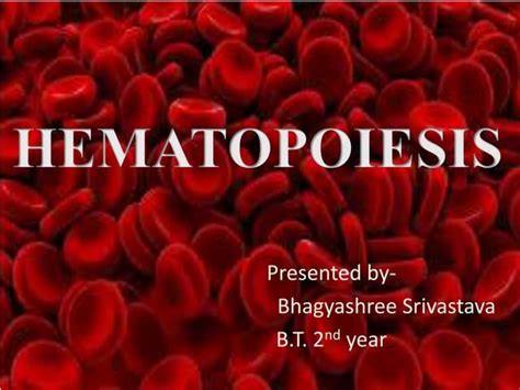 Hematopoiesis Immunology Pptx