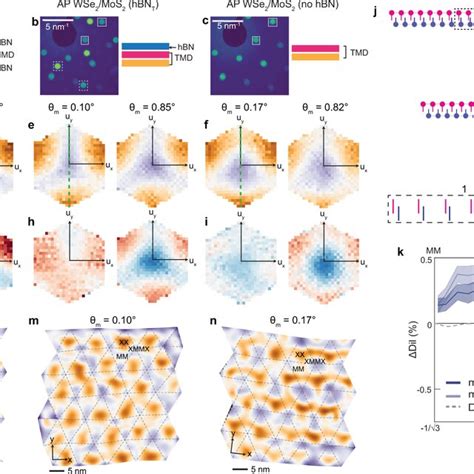 Influence Of Encapsulation Layers On Heterobilayer Reconstruction A C Download Scientific
