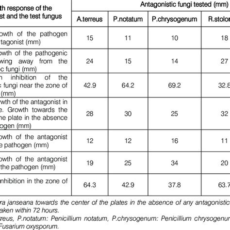 Colony Interaction Between Cercospora Janseana And Antagonistic Fungi