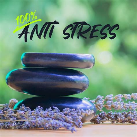 100 Anti stress Zen douce relaxation et détente Musique de fond