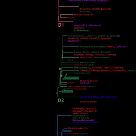 Start Schematic Topology Of The Constructed Phylogenetic Tree