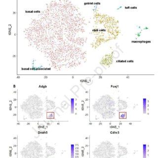Clustering Analysis Of Single Cell RNA Seq Data From Murine Lungs A Download Scientific