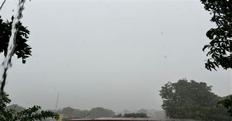 Warning For Rain In Odisha Red And Orange Alert Issued By Src