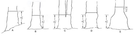 3 5 Summary Questions Forest Measurements An Applied Approach