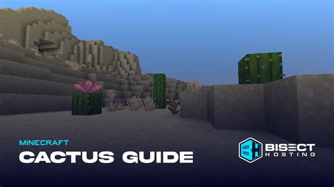 Minecraft Cactus Guide Cactus Flower Biomes And More
