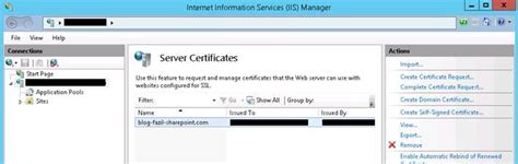 Install Ssl Certificate To The Server And Binding Of Ssl Certificate To Iis Website Sharepoint