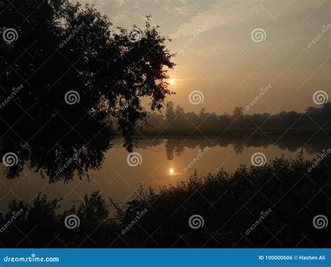 Reflecting Sun Behind Tree Stock Photo Image Of Perfect 100000606