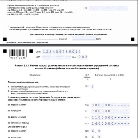 Налоговая декларация по УСН: сроки, ответственность, инструкция по ...