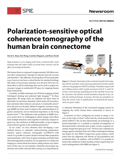 Pdf Polarization Sensitive Optical Coherence Tomography Of The Human