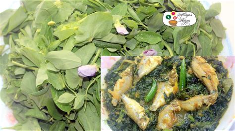 মটর শাক রান্নার লোভনীয় রেসিপি Motor Shak Matar Shak Recipe Bangla