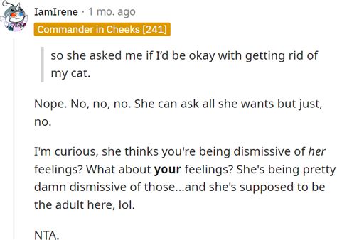 Teen Chooses Cat Over Stepbrother And Permanently Cuts Ties With Mom In
