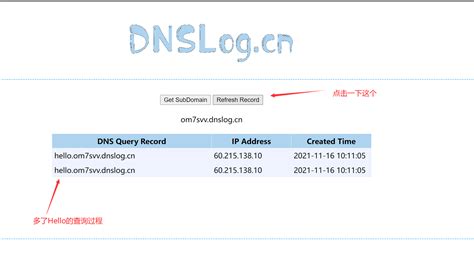 Dnslog回显 Csdn博客