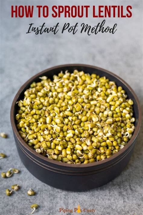 How To Sprout Lentils With Instant Pot Option Piping Pot Curry