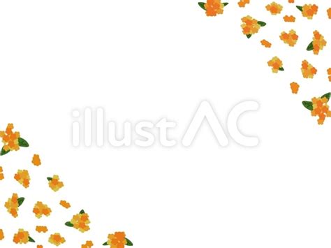 キンモクセイのお花フレーム 背景イラスト No 23103484／無料イラストフリー素材なら「イラストac」
