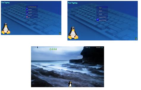 COMPUTACIÓN PRIMERO DE PRIMARIA IBP Aviso sobre el juego Tux typing